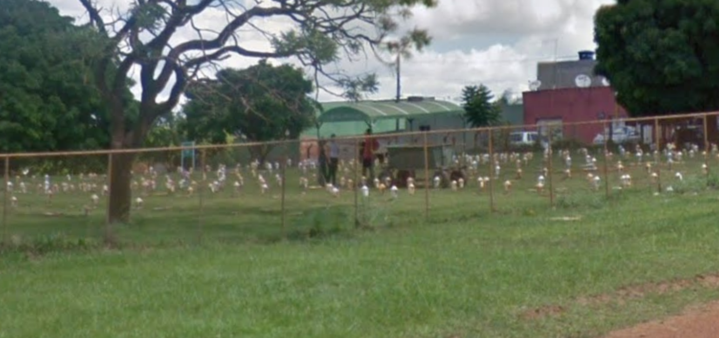 Cemitérios no Brasil - Todas Informações sobre os cemitérios